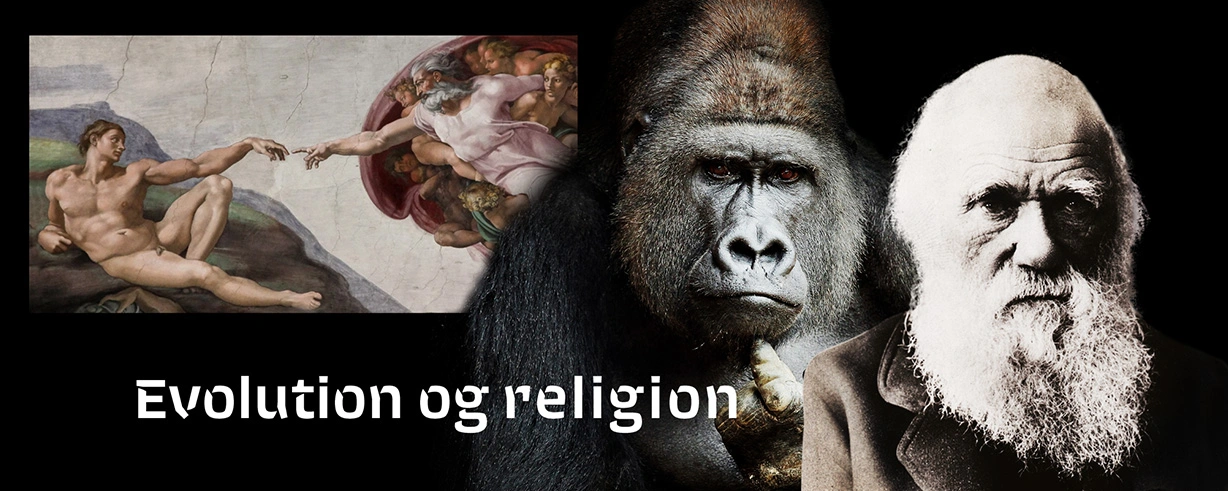 Evolution og religion | Evolution og religion
