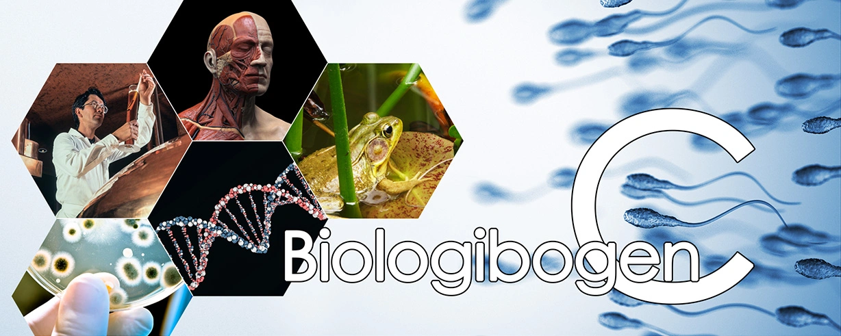 Cytosol, cytoplasma og cytoskelet | Biologibogen C